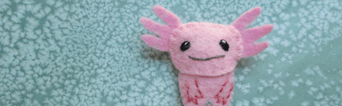 Axolotl (Ambystoma mexicanum) – FaunaFocus