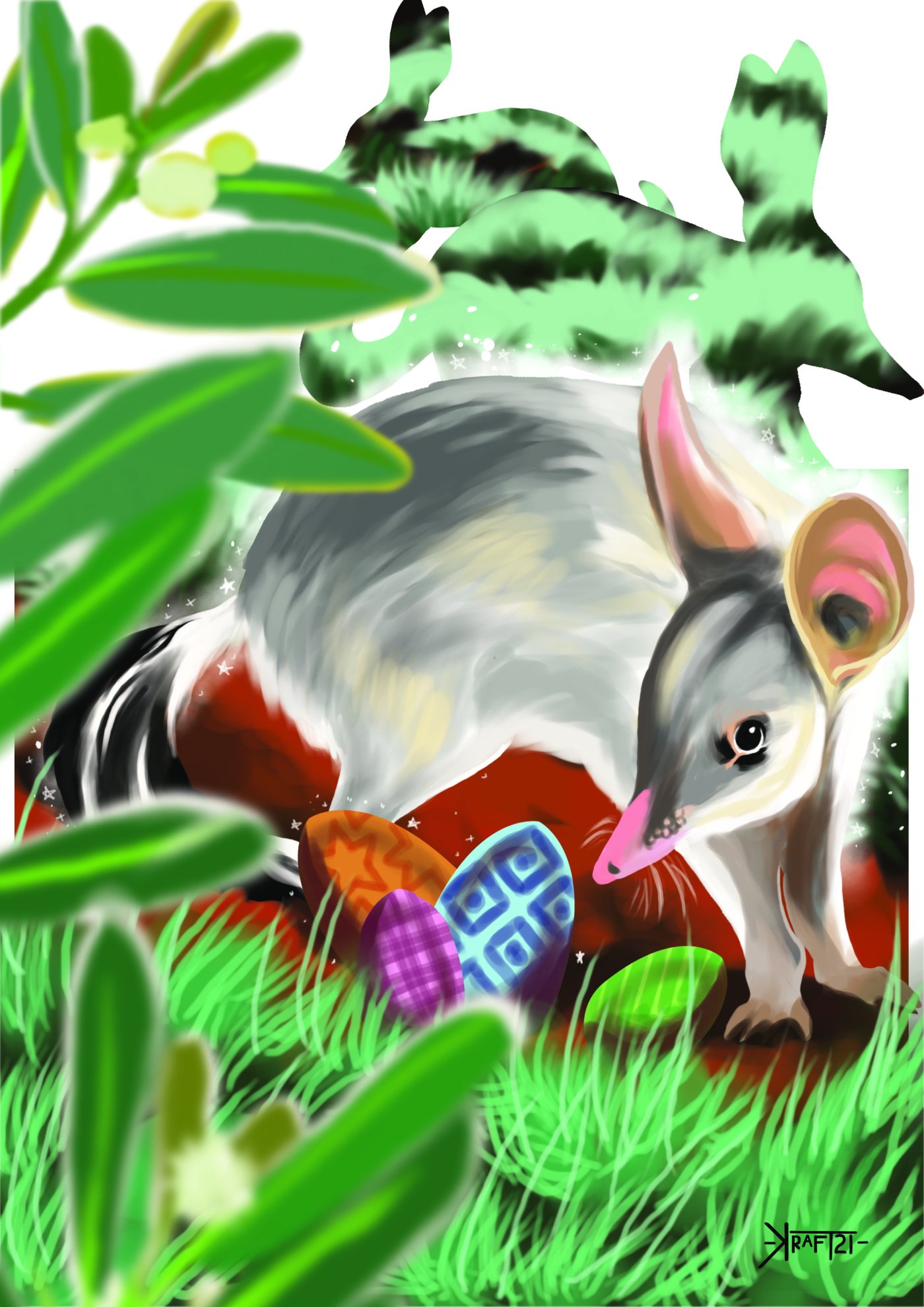 Free-For-All: Bilby – FaunaFocus