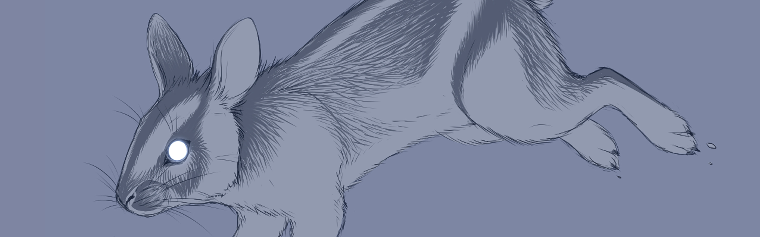 Annamite Striped Rabbit (Nesolagus timminsi) – FaunaFocus