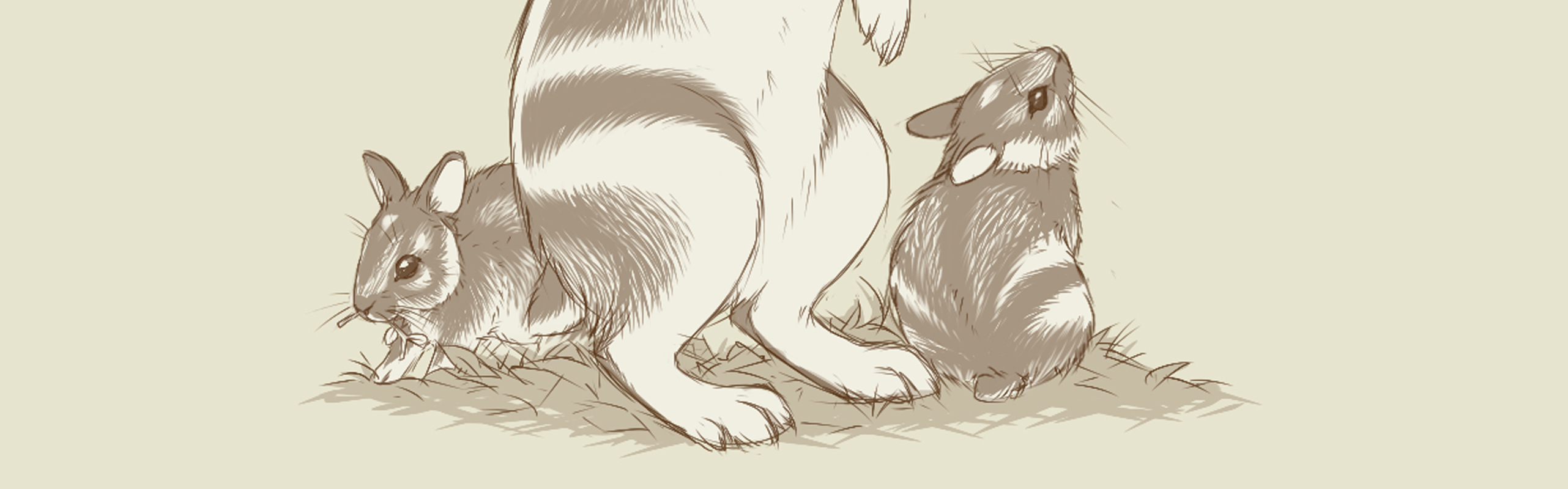 Annamite Striped Rabbit (Nesolagus timminsi) – FaunaFocus