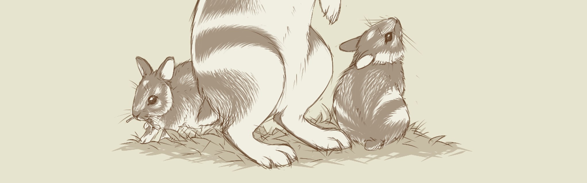 Annamite Striped Rabbit (Nesolagus timminsi) – FaunaFocus